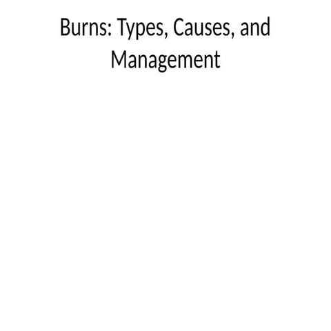 Burns_Types_Causes_Management.pptx////// | PPT