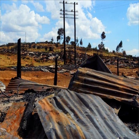 Burnt Forest | PDF