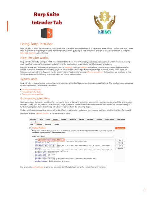 Owasp | PPTX | Web Development | Internet