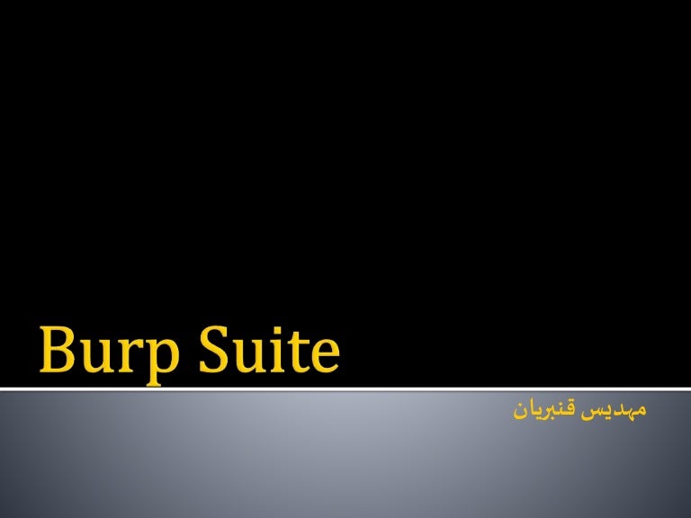 Burp suite alternative - loftleo