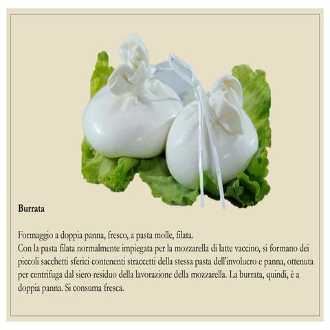 Burrata, Puglia | PDF