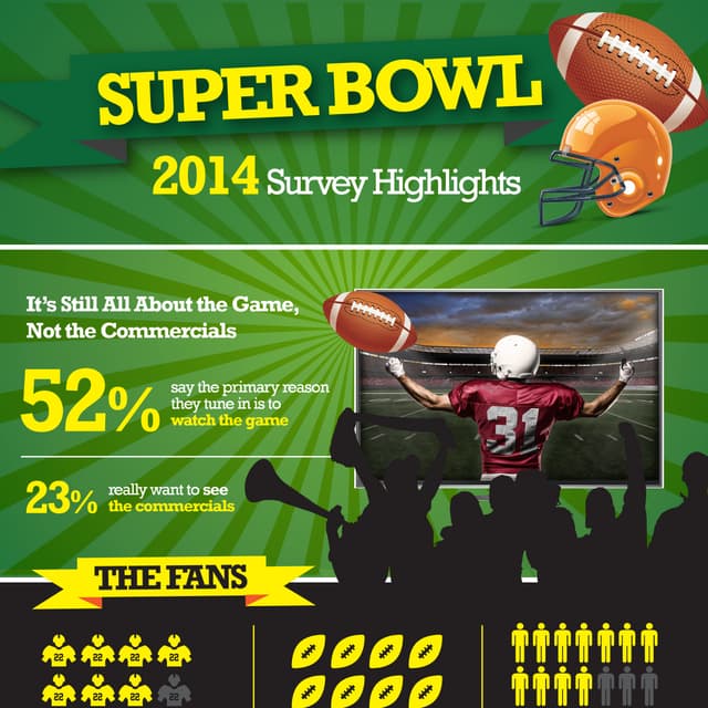 Burson-Marsteller Fan Experience Super Bowl Survey Highlights | PDF