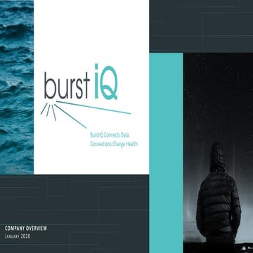 BurstIq Overview | PDF