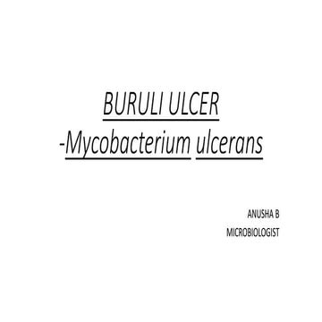 BURULI ULCER.pptx, MEDICAL MICROBIOLOGY. | PPTX
