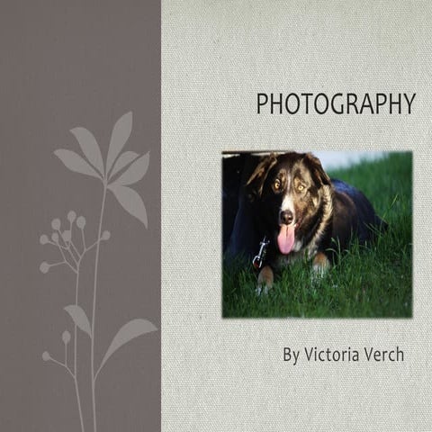 Digital Photography Presentation | PPT