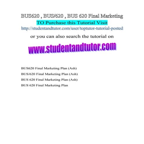 Bus 620 final marketing plan (ash) | DOC