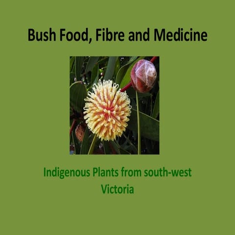 Bush Food, Fibre And Medicine | PPT