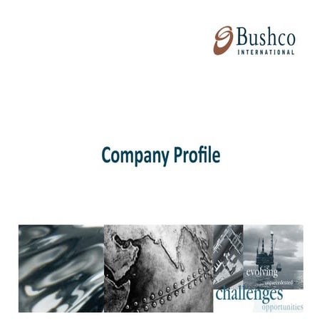 Bushco International Presentation | PDF
