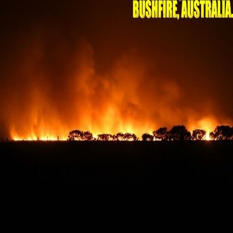 Bushfire Australia. | PPS | Geography | Science