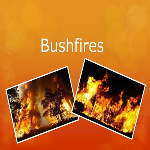 Bushfires | PPTX