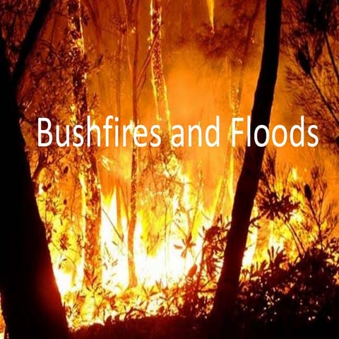 Bushfires and floods ppt | PPTX