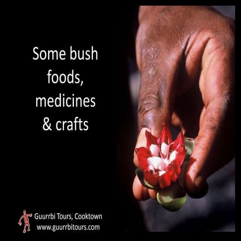 Some bush foods, medicines & crafts | PPTX