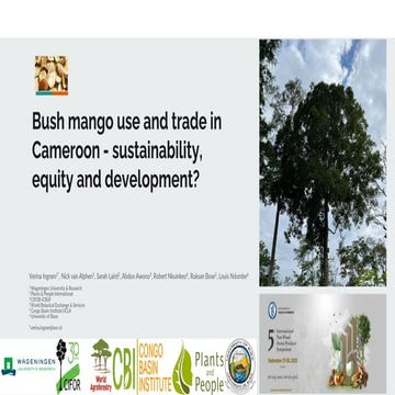 Bush mango use and trade in Cameroon sustainability, equity and ...