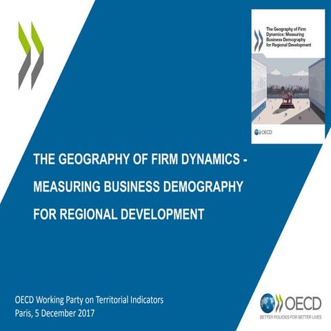 The Geography of Firm Dynamics: Measuring Business Demography for ...
