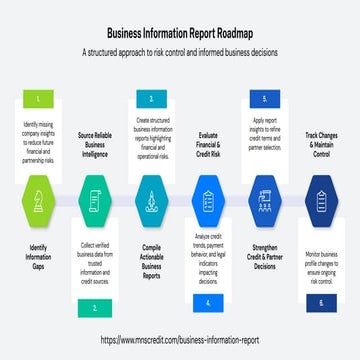 Business Information Report Explained: A Step-by-Step Risk Analysis ...