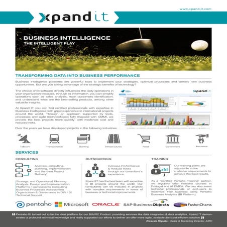 Business Intelligence Datasheet | PDF