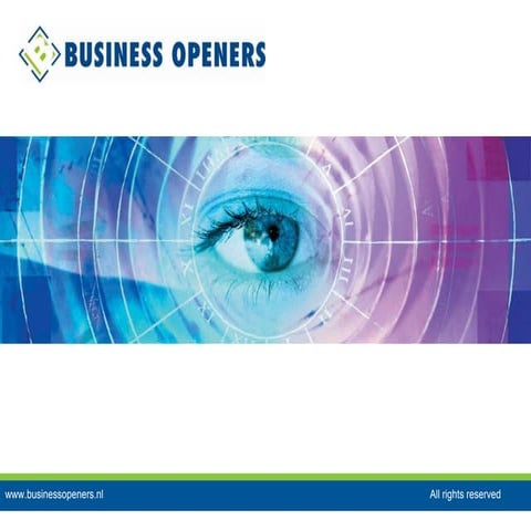 Professional Business Plan | PDF