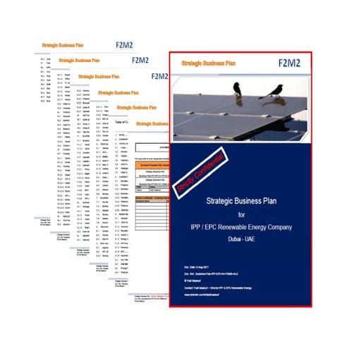 Strategic Business Plan for IPP / EPC Renewable Energy Company | PDF