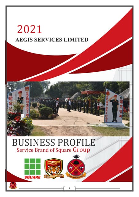 Aegis security services