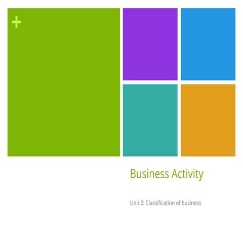 Business Activity 2 classification.pptx