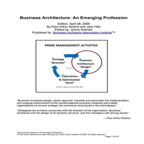 Business Architecture an Emerging Profession | PDF