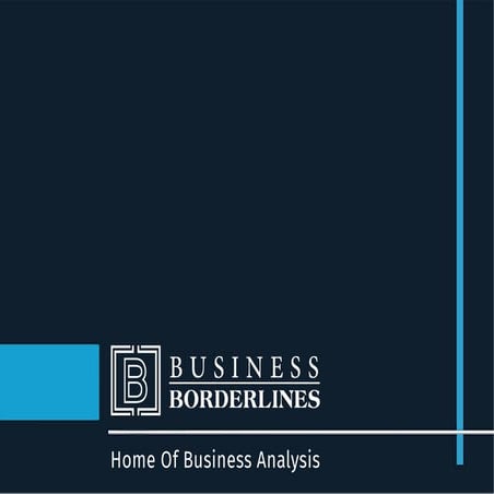 Business Borderlines company profile | PDF