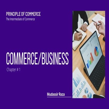 Business/ Commerce | PDF