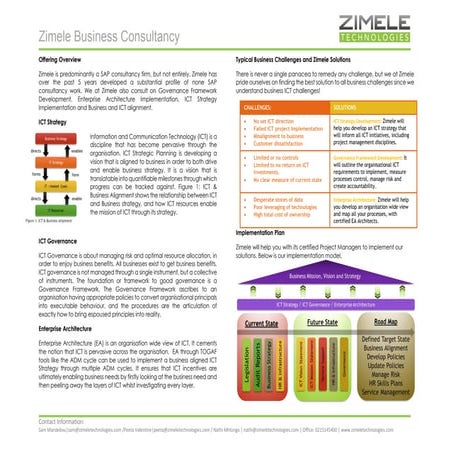 Zimele Business consultancy profile | PDF