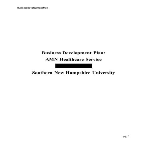 Business developement plan copy | PDF