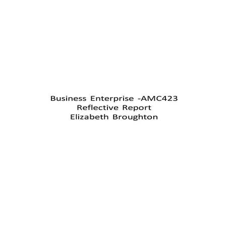 Business enterprise reflective report | DOCX