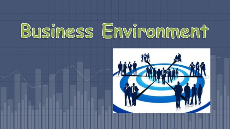 Business Environment