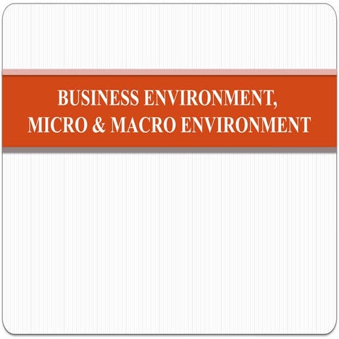 Business Environment - micro and macro level | PPTX
