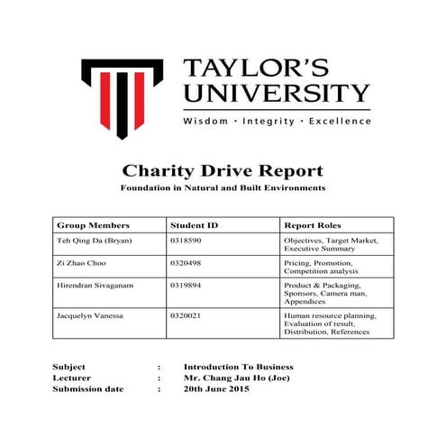 Businessfinalreport | DOCX