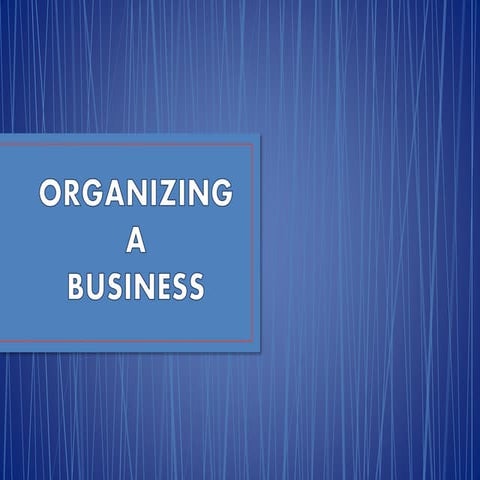 Business finance -Organizing a Business | PPTX