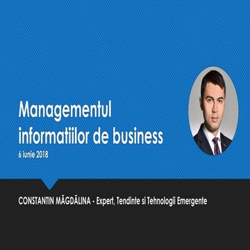 Managementul informatiilor de business | PDF