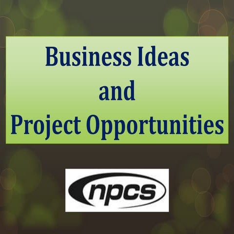 Business Ideas and Project Opportunities | PPT