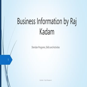 Business Information.pptx