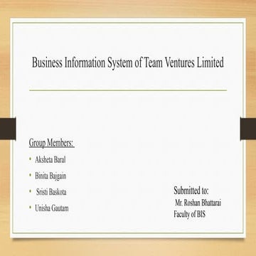 Business Information System of Team Ventures Limited ppt.pptx