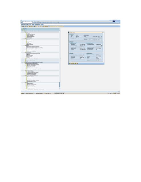 Integrated SAP Implementation | PDF