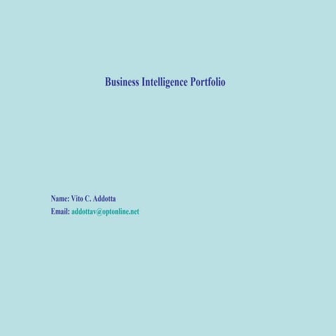 Business Intelligence Portfolio | PPT | Databases | Computer Software ...