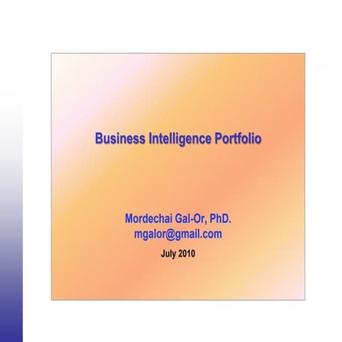 Business Intelligence Portfolio | PDF