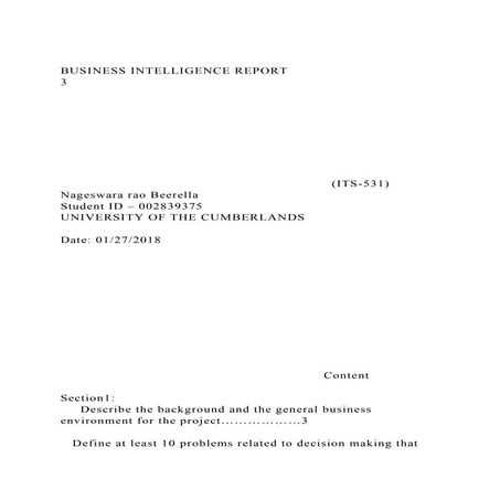 BUSINESS INTELLIGENCE REPORT .docx