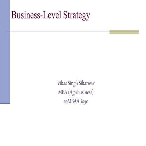 business level strategies.pptx