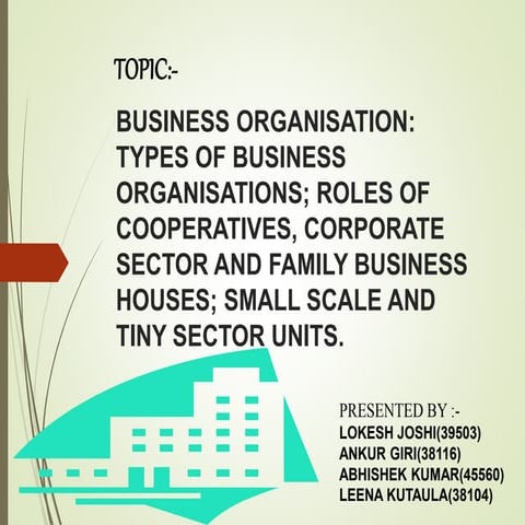 Business organisatio nx | PPT