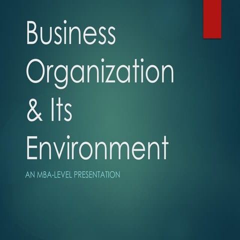 Business_Organization_Environment_MBA_Presentation (1).pptx