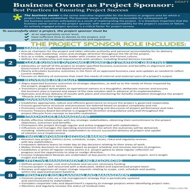 Business Owner as Project Sponsor Best Practices | PDF
