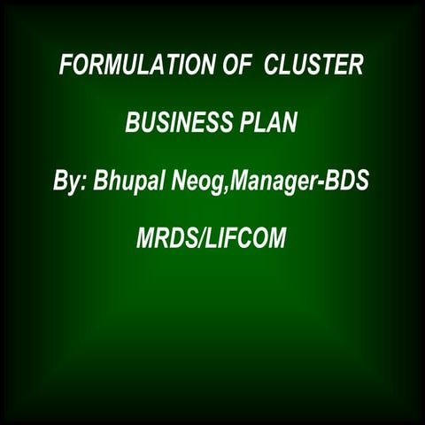 Cluster Business Plan | PPTX