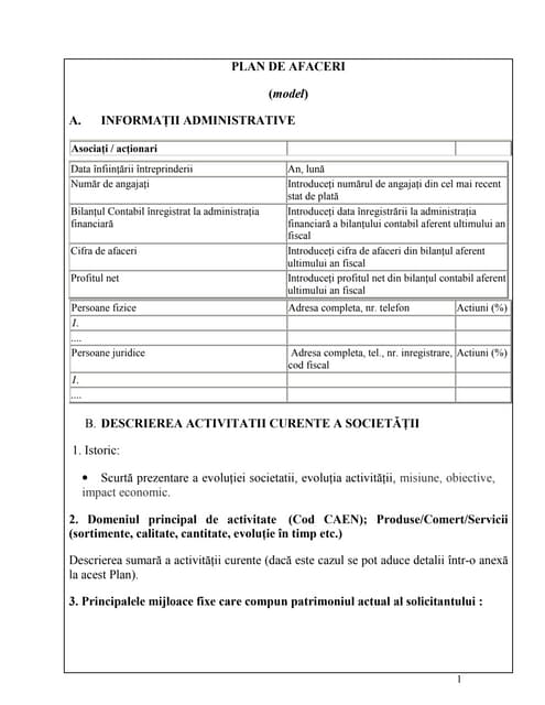 Plan de afaceri | PDF