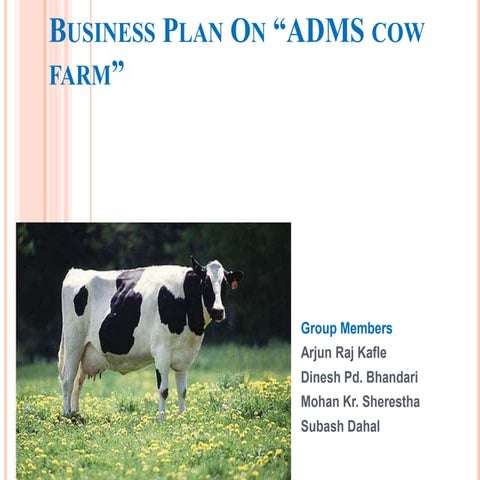 BUSINESS PRESENTATION ON COW DAIRY FARMING | PPTX