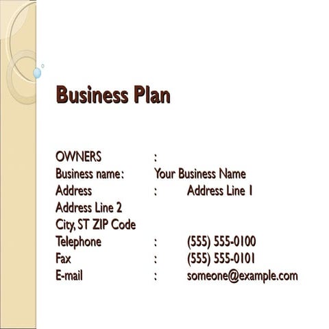 Business Plan For An Established Business | PPT